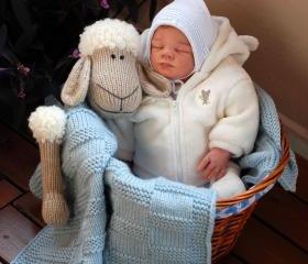 Baby Sheep Toy Blanket on Luulla